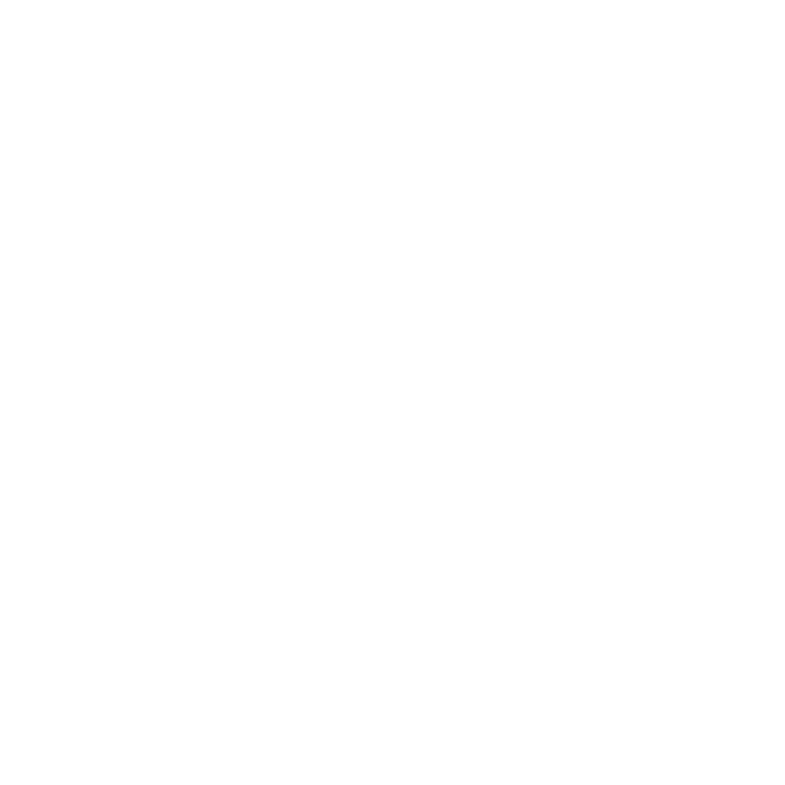 Software Audit Speardevs