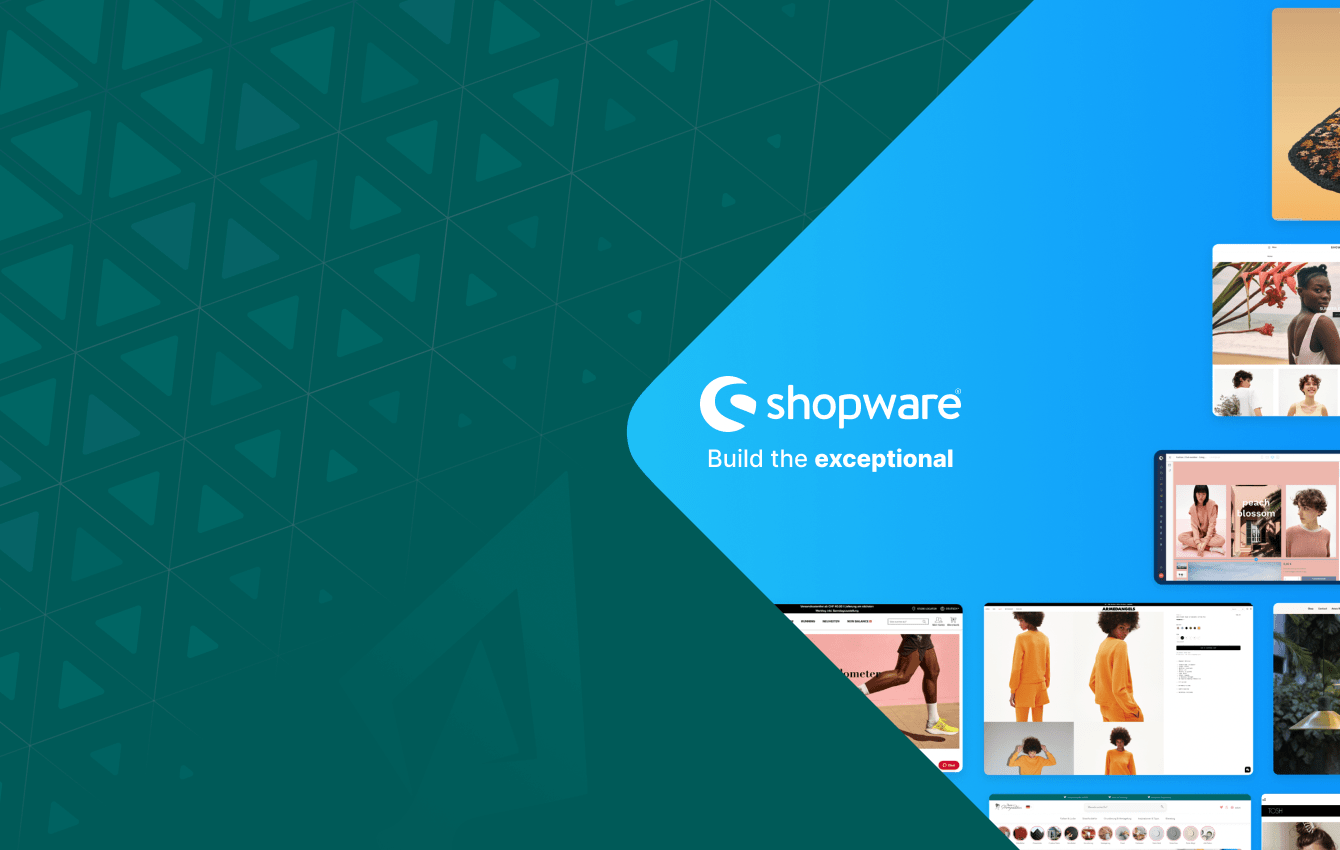 Shopware 6: A Comprehensive Introduction - SpearDevs